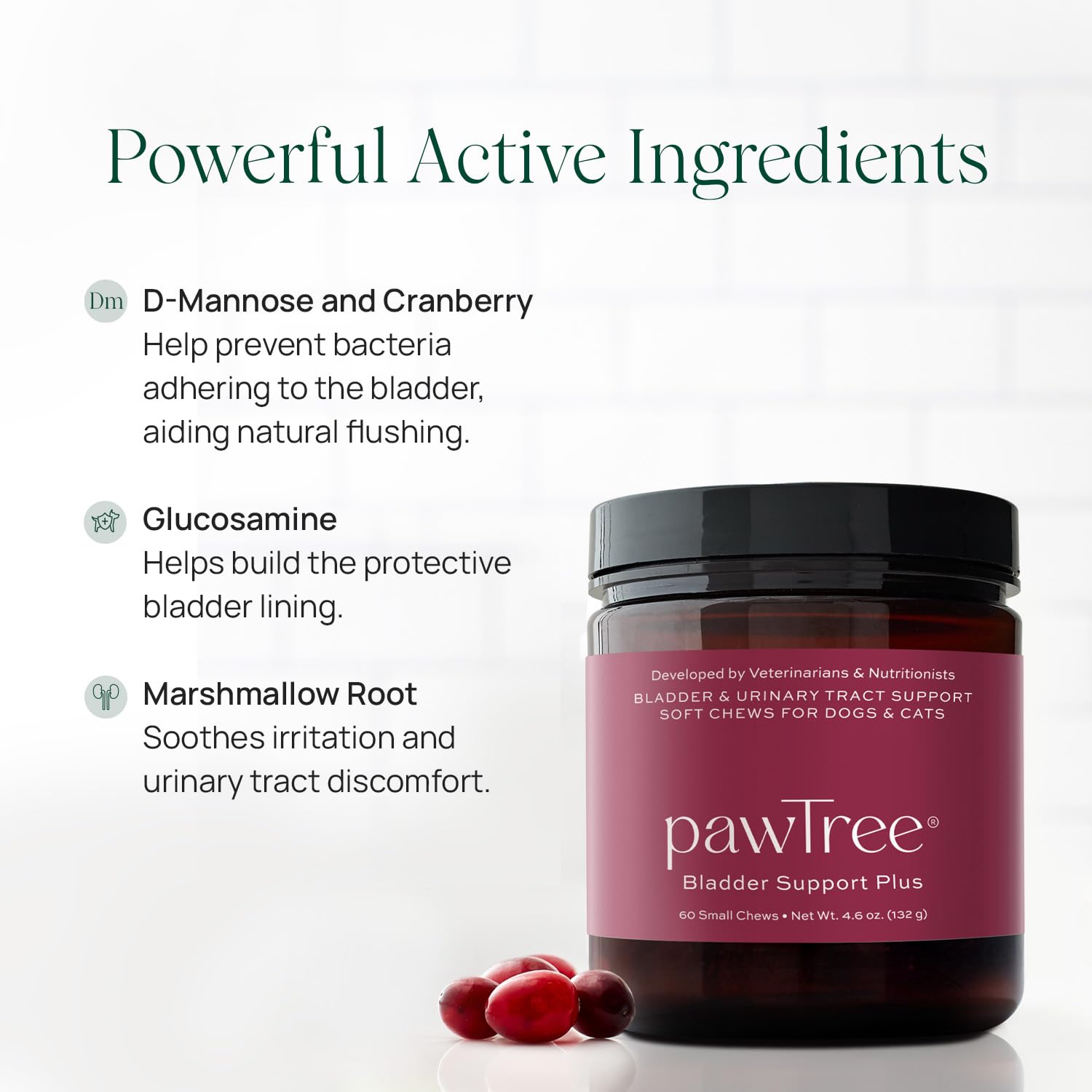 pawTree Bladder Support Plus for Dogs and Cats - Bladder & Urinary Tract Wellness Supplement - with D-Mannose, Cranberry, Glucosamine and Marshmallow Root to Support Bladder Health (Small/Medium)