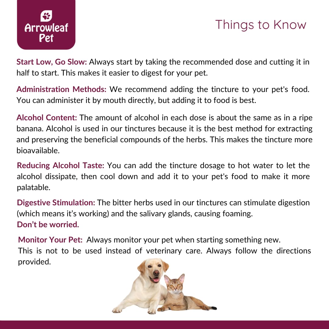 Arrowleaf Pet Vision Care by NaturPet Inc for Cats and Dogs | with Bilberry | Eye Support | 100mL Herbal Tincture