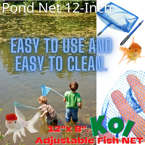 CORISRX BEST OF YOUR LIFESTYLE 12"x 8" Koi Adjustable Fish NET Handle 30~54cm Aluminum Fishing Pond Tank Blue