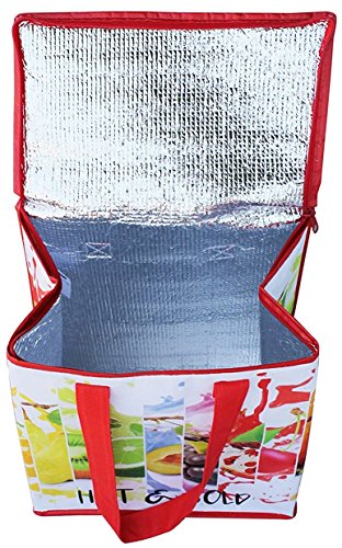 Earthwise Insulated Reusable Grocery Bag Shopping Tote with Zipper Top Lid Durable Thermal Collapsible Catering 2 Pack (Fruit)