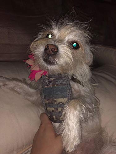 Ferret Clothes Small Animals Harness Military Style Adjustable Shoulder Straps Soft Mesh Comfort Durable Nylon Padded Vest Ferret Guinea Pig Hamster Bunny Kitten Puppy Small Pet Clothes Accessory