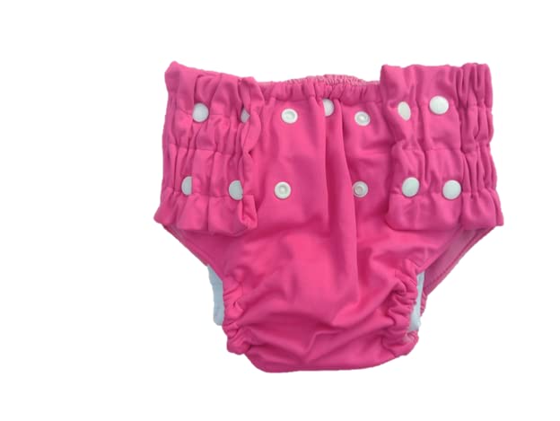 Night time Washable Cloth Pull up Diapers for Toddlers and preschoolers, Ages 2 Years to 6 Years (Pink, Small (2-4 Years))