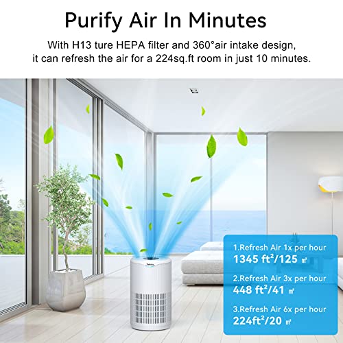 Air Purifiers for Home Large Room Up to 1345 Ft², Tailulu H13 True HEPA Air Filter Purify Smoke Pollen Pet Dander Dust Smell for Bedroom, Kitchen, Air Cleaner with Replacement Filter