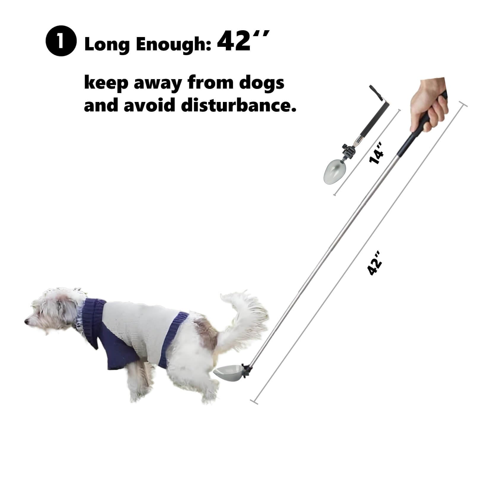 iNenya Dog Urine Sample Catcher,Telescopic Dog Pee Sample Collector,Pet Urine Stick for Small Large Female Dogs (Grayspoon&4bottles)