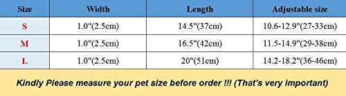 Benala Soft Genium Leather Gold Spiked Studded Pet Puppy Dog Collar for Small Medium Dogs Size S M L 5 Colors