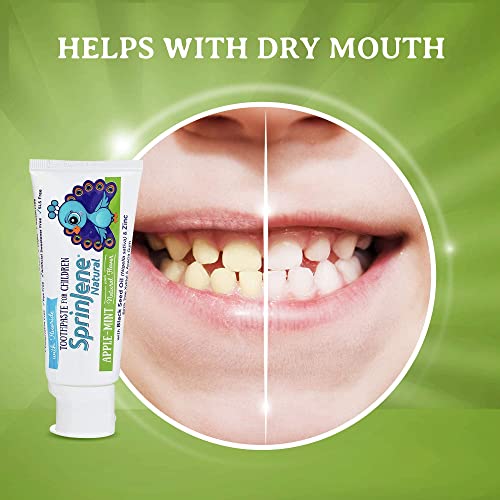 SprinJene Kids Toothpaste with Fluoride for Cavity Protection & Fresh Breath - Natural SLS Free Toddler Toothpaste for Childrens 2 Years & Up/Preservative & Toxic Free (1 Pack) Apple Mint
