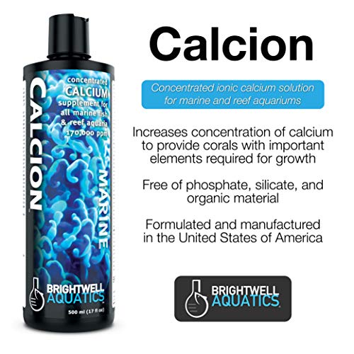 Brightwell Aquatics Calcion - Concentrated Liquid Calcium Supplement for All Marine Aquariums, 500-ml