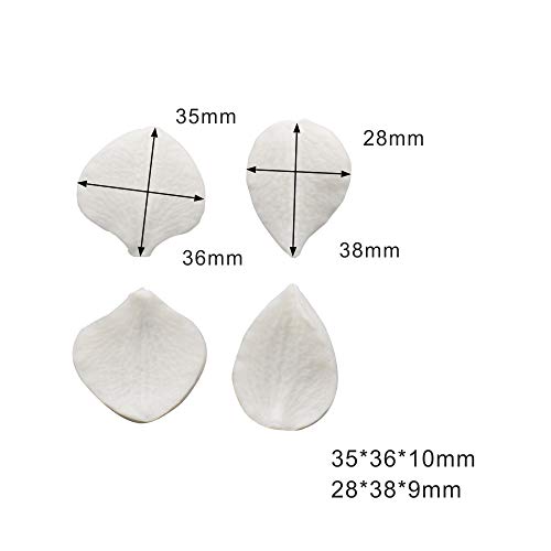 AK ART KITCHENWARE Gum Paste Flower Tools Hydrangea Petal Veiners for Decorating Cake Orchid Silicone Veining Molds Fondant Tools (VM122)