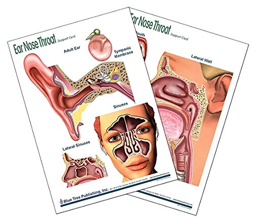 Ear Nose and Throat Support Card