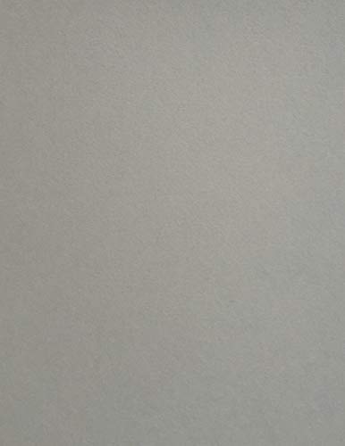 Colorplan Real Grey Cardstock Paper - 8.5 X 11 Inch Premium Matte 100 Lb. Heavyweight - 25 Sheets from Cardstock Warehouse