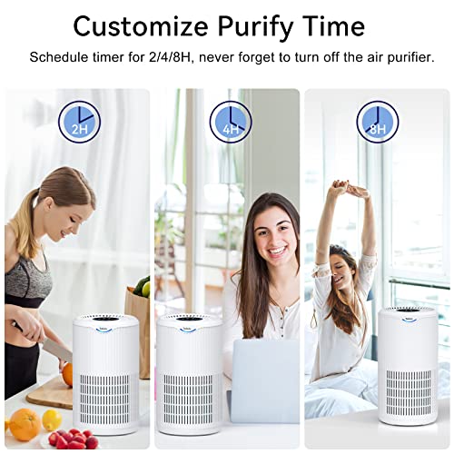 Air Purifiers for Home Large Room Up to 1345 Ft², Tailulu H13 True HEPA Air Filter Purify Smoke Pollen Pet Dander Dust Smell for Bedroom, Kitchen, Air Cleaner with Replacement Filter