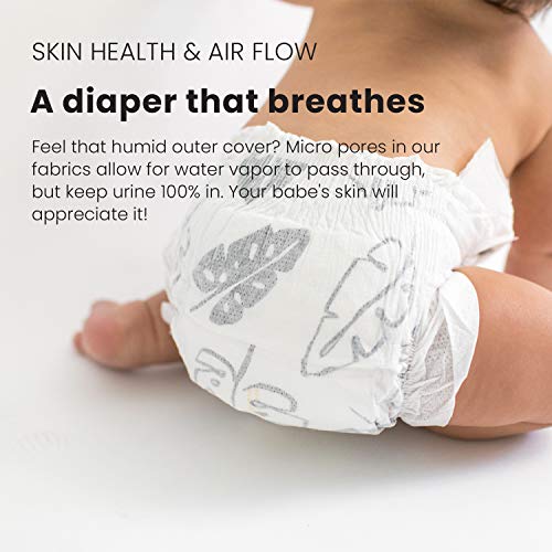 PARASOL Clear+Dry Disposable Diapers | RashShield Protection, Leakproof Design, Hypoallergenic Diaper Set | Size 4 (20-37 lbs) 108 Count