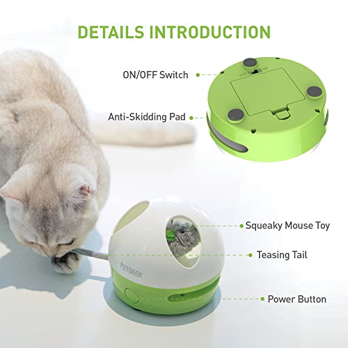 PETGEEK Interactive Cat Toy, Hide Mouse Cat Toy with Squeaky Mouse, Electronic Automatic Cat Toys with Catnip Filled Hidey Mouse, Cat Toys Interactive for Indoor Cats Exercise & Game