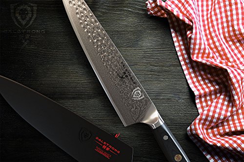 Dalstrong Shogun Series X Damascus Japanese AUS-10V Super Steel Chef Kitchen Knife with G10 Black Handle ABS, 10.25 Inches, Sheath Included