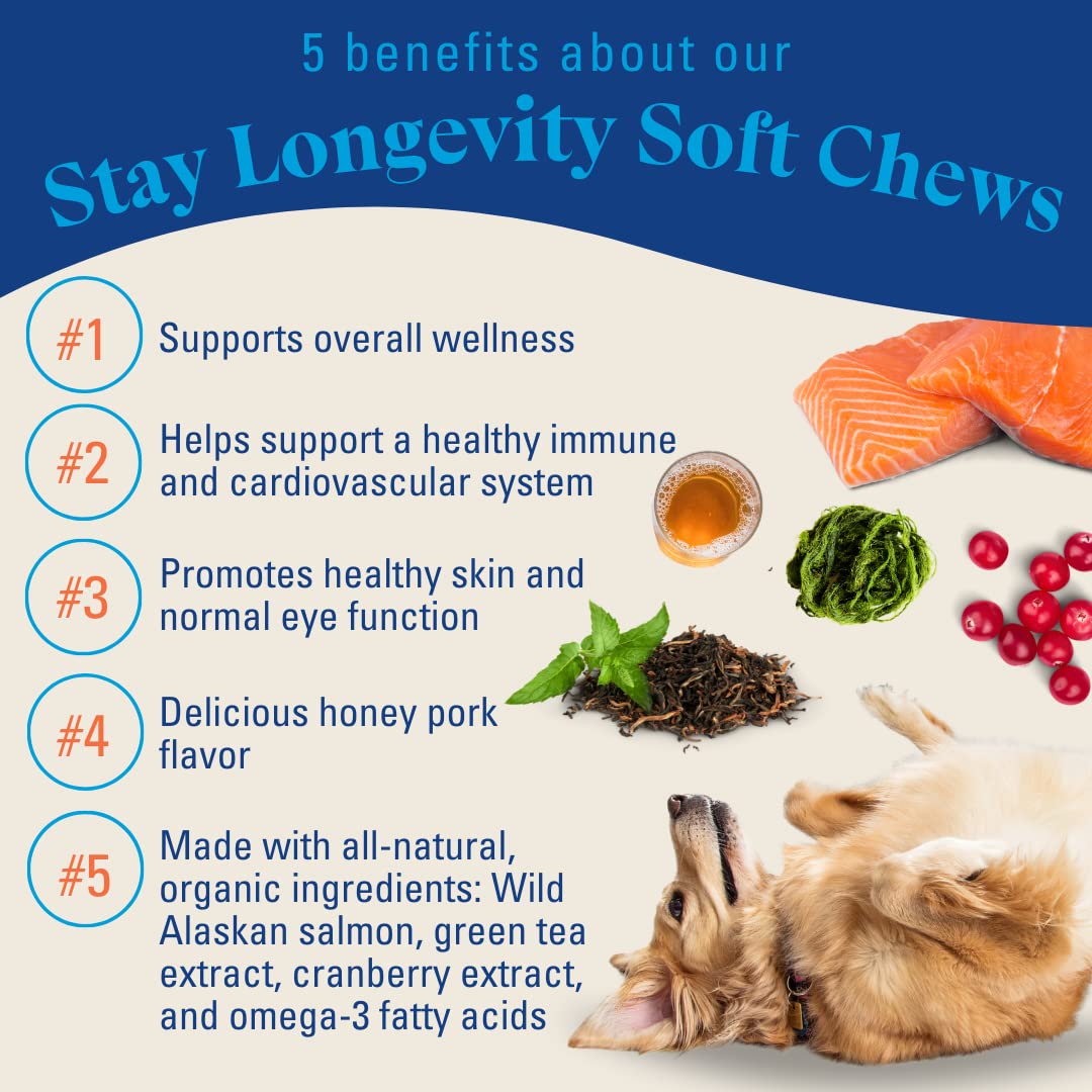 Soft Chew Multivitamin for Dogs - Longevity Focus | Overall Wellness, Healthy Immune and Cardiovascular System for Dogs | OTIS Healthy Dog Treats | 90 Counts, 9.52 oz.