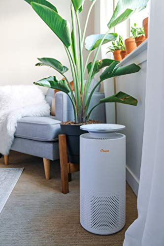 Crane Air Purifier with True HEPA Filter, Germicidal UV Light, 500 Sq Feet Coverage, Timer Function, Sleep Mode, Built in Air Quality Monititor, EE-5069,Blue and White,10.25 Pound