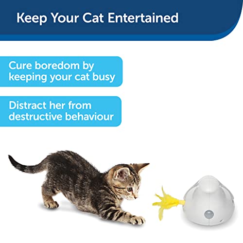 PetSafe Peek-A-Bird Electronic Cat Toy, Automatic Interactive Bird and Mouse Hunt, Indoor Cat Toy, Motion Activated Fun for Kittens