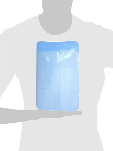 Disposable Baby Changing Pad Liner - Economy Pack 50 Count (17 x 24 Inch) - Waterproof Absorbent Blue Hospital Underpad for Incontinence with Moisture Protector - Small Chux by BrightCare