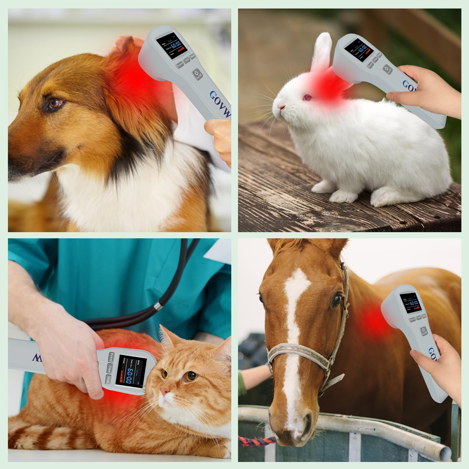 GOVW Laser Therapy for Dogs, 4x808nm+16x650nm, Cold Laser Therapy Device for Dogs Professional, Veterinary Laser Therapy Machine, Cold Laser Therapy Device for Horses, Laser Treatment for Animals