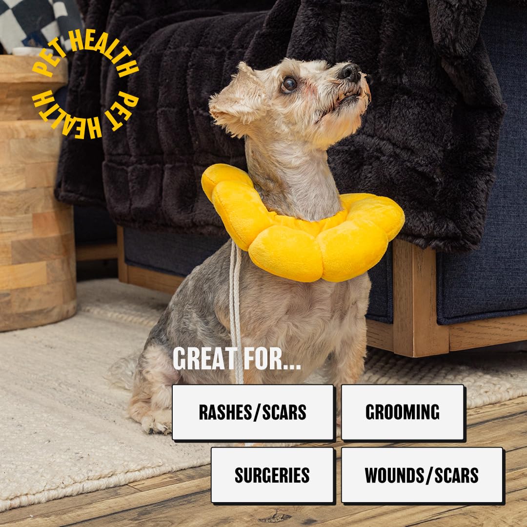 Dog Cones - Adjustable Dog Recovery Cone for Small Dogs - Dog-Friendly Design Dog Cone Collar - Reliable Head and Neck Cone for Dogs - Pet Cone - Dog Cone by Placely