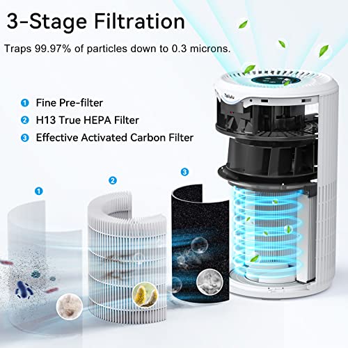 Air Purifiers for Home Large Room Up to 1345 Ft², Tailulu H13 True HEPA Air Filter Purify Smoke Pollen Pet Dander Dust Smell for Bedroom, Kitchen, Air Cleaner with Replacement Filter