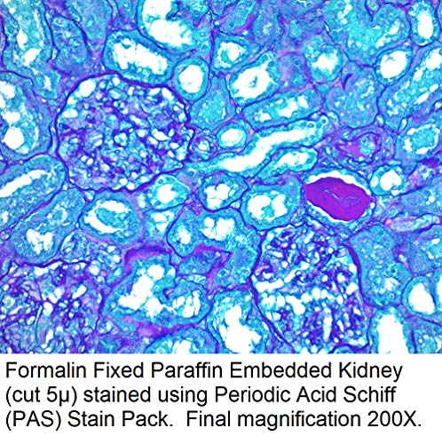 Periodic Acid Schiff (PAS) Stain Pack, 500ml