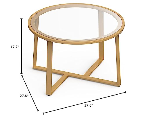 Evajoy Round Glass Coffee Table, 27.6" Gold Coffee Table with Tempered Clear Glass Surface for Living Room, Simple & Modern Center Circle Coffee Table for Small Space, Easy Assembly