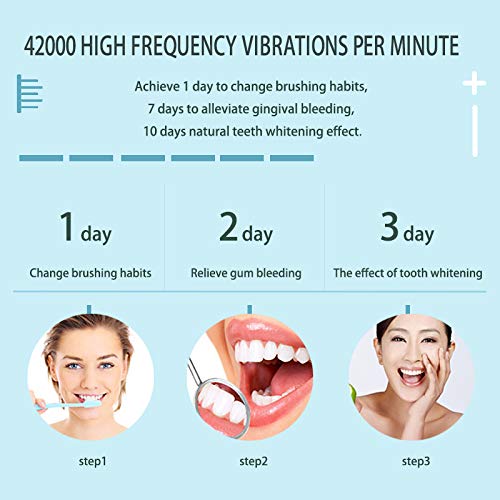 Sonic Electric Toothbrush Rechargeable Ideal for Adults Children, 6 Optional Modes IPX7 USB Fast Charging Electric Ultrasonic Toothbrush with 2 min Build in Timer & 4 Replacement Brush Heads(Black)