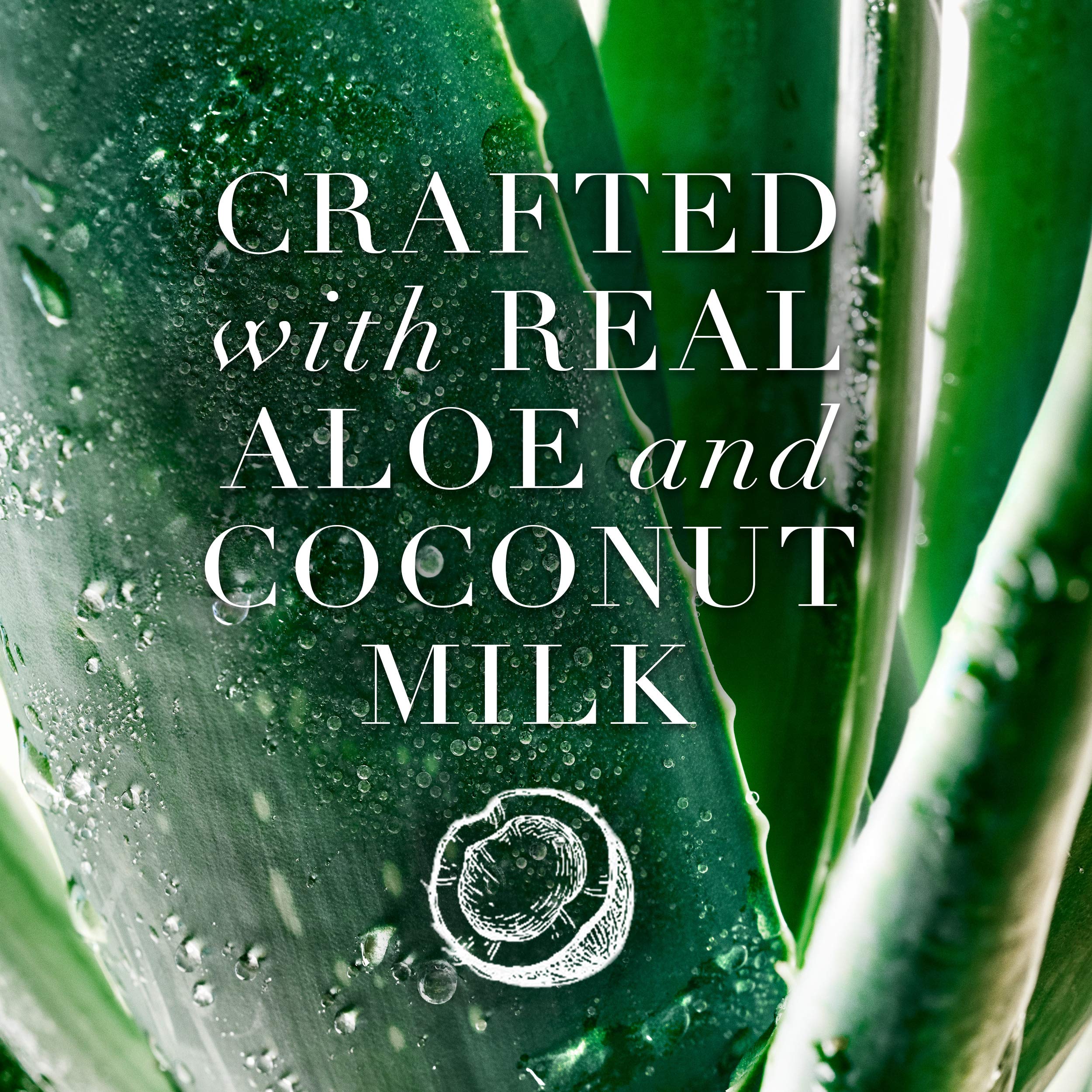 Herbal Essences Bio: Renew Coconut Milk & Aloe Hydrating Hair Mask for Dry Damaged Hair, 8 Fl Oz, 6.374 Fl Oz