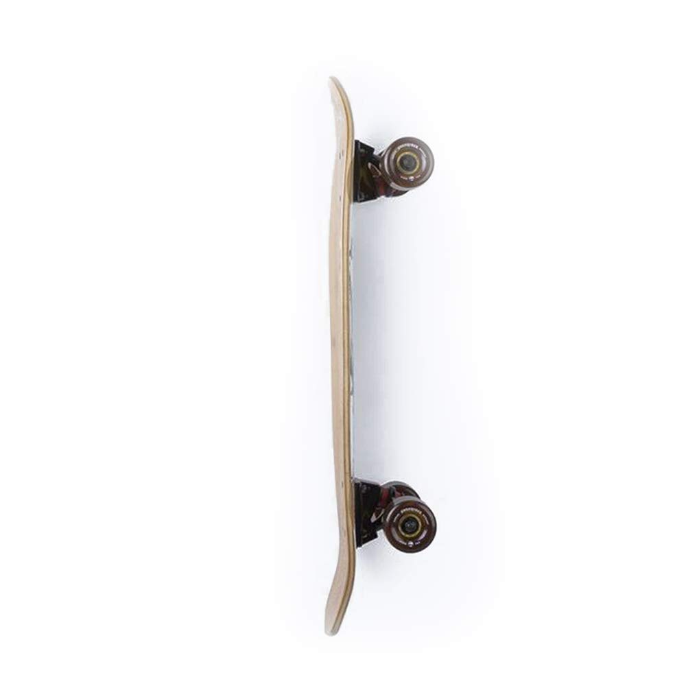 Arbor Pilsner Bamboo Collective Series Cruiser Skateboard Bundled with Swell Skate Tool + Crate White Shark Sticker…