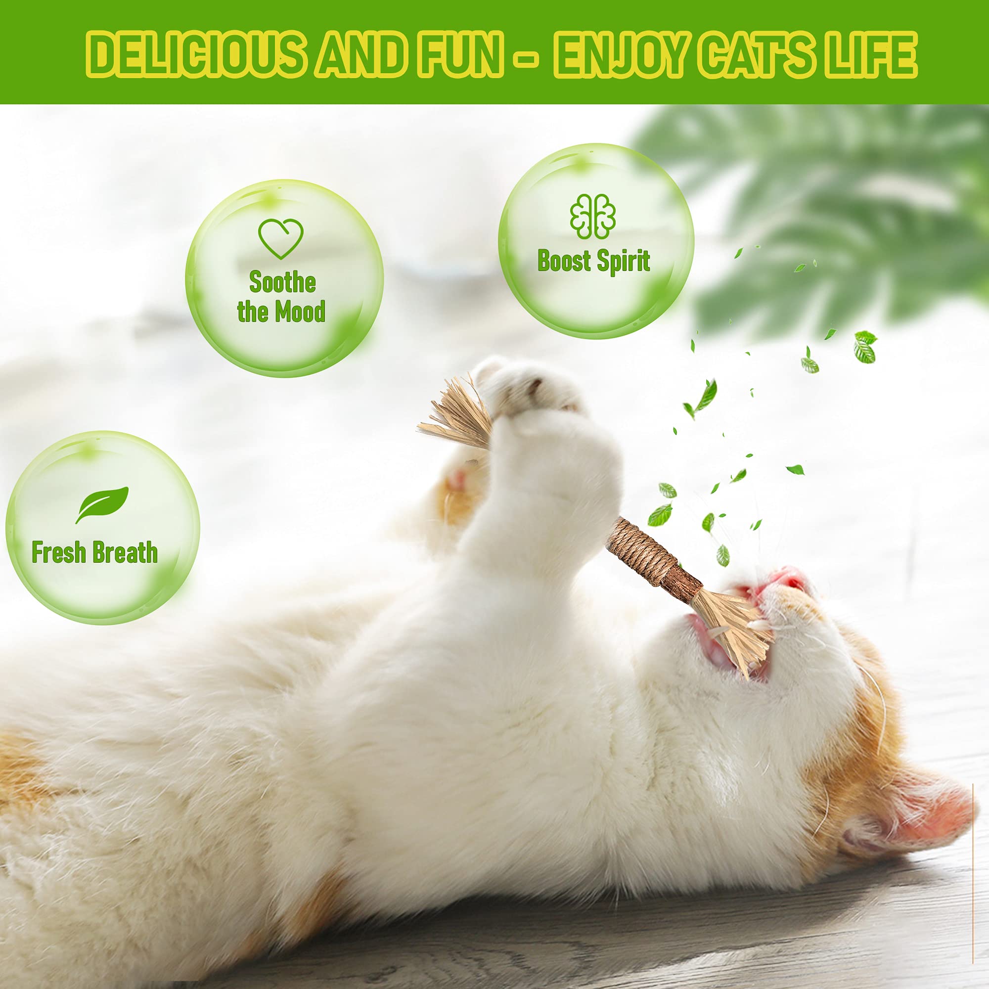 BAWAN Catnip Toys‖ Silvervine for Cats: Cute Cat & Kitten Toys for Indoor Cats Interactive‖ Cat & Kitten Teething Chew Toys for Aggressive Chewers‖ Silvervine Sticks Cat Dental Toy (5PCS)