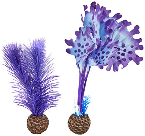 biOrb 46079.0 Kelp Set Small Purple Aquariums, 2 Piece Set
