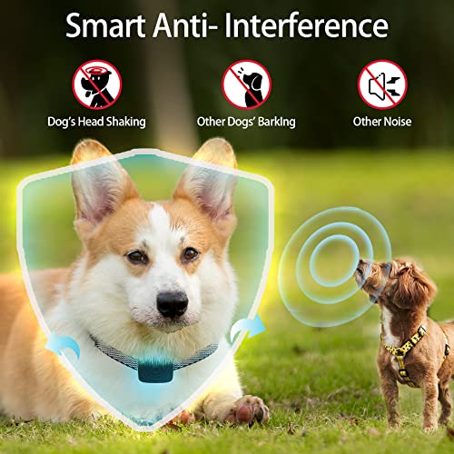 Bark Collar for Small Dogs 5-15lbs Small Dog Bark Collar No Shock Bark Collar Rechargeable Anti Bark Collar Shockless with Adjustable Sensitivity and Intensity Beep Bark Collar for Small Medium Dogs