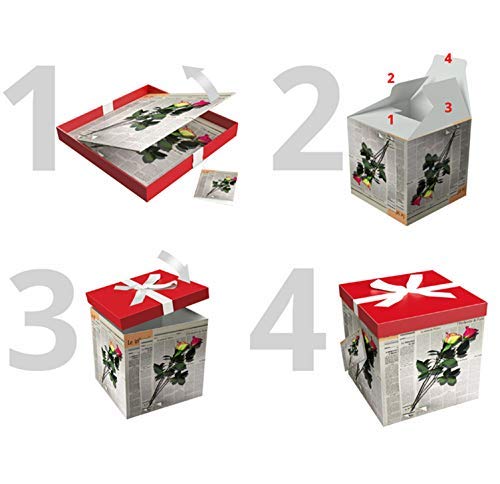 Gift Box 10"X10"X10" - Les Roses Collection - Easy to Assemble & Reusable - No Glue Required - Ribbon, Tissue Paper, and Gift Tag Included - EZ Gift Box by Endless Art US