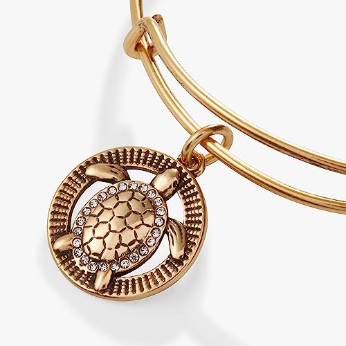 Alex and Ani Turtle Charm Bangle Bracelet, Shiny Gold Finish, 2 to 3.5 in