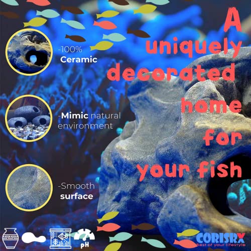CORISRX BEST OF YOUR LIFESTYLE DR. Moss Aquarium Decorations Cichlid Stone Marine Rock Cave Decor Decorative Fish Tank Freshwater Saltwater for Small Girls Tiny Turtle Reptile
