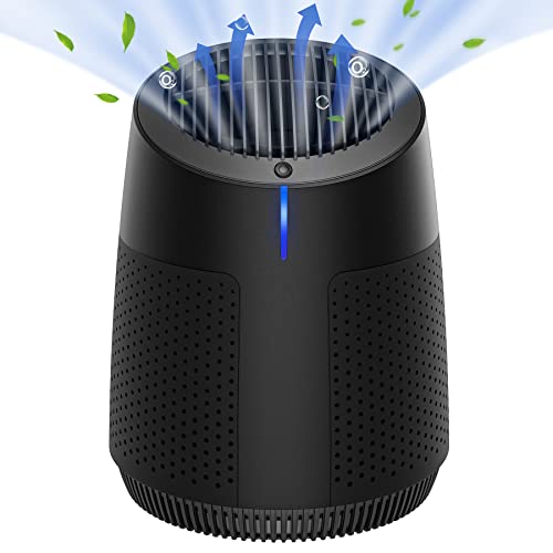 Air Purifiers for Bedroom, 99.97% Efficient HEPA Air Purifier, 25dB Air Purifiers for Home with Air Filter, Air Purifiers for Pets with Air Filters, Small Air Purifier with Sleep Mode, Air Cleaner