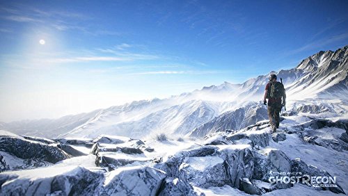 Ubisoft Ghost Recon Wildlands Gold 2 - PS4 nv Prix