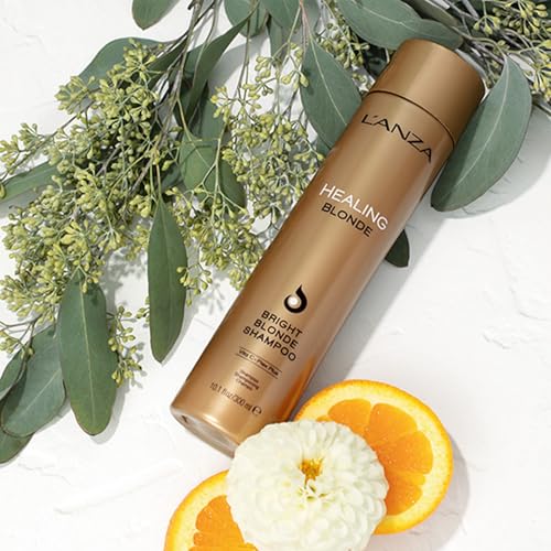 L'ANZA Healing Blonde Bright Shampoo,Formulated for Natural &Decolourized Blonde Hair,Boosts Shine & Brightness while Healing with Sulfate-free,Paraben-free,Gluten-free Formula,10.10 Fl Oz(Pack of 1)