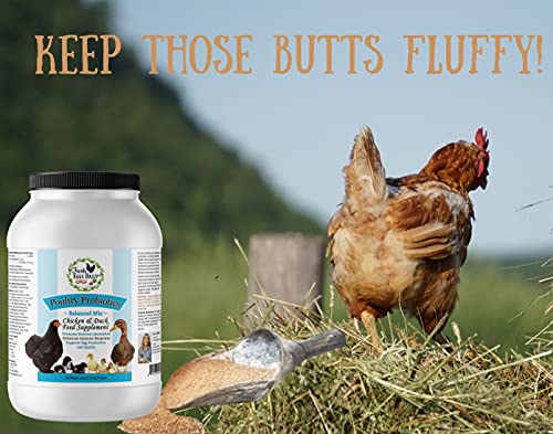 FRESH EGGS DAILY Poultry Probiotics Feed Supplement Vitamins for Backyard Chickens and Ducks 6LB