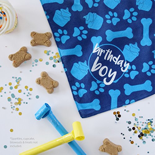 Dog Birthday Bandana - Boy