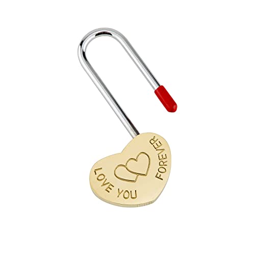 VerRich 3.5" 50mm Love Lock Single Heart Shaped Padlock Love You Forever for Lovers Wedding, Bridge,Paris,Anniversary(NO Key)