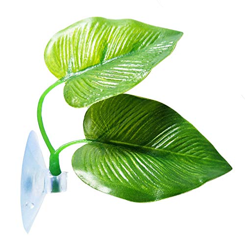 CousDUoBe 2 Pack Betta Fish Leaf Pad Improves Betta's Health by Simulating The Natural Habitat - Natural, Organic, Comfortable Rest Area for Fish Aquarium