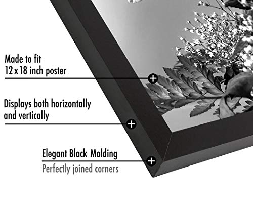 Americanflat 12x18 Poster Frame in Black - Composite Wood with Polished Plexiglass - Horizontal and Vertical Formats for Wall with Included Hanging Hardware
