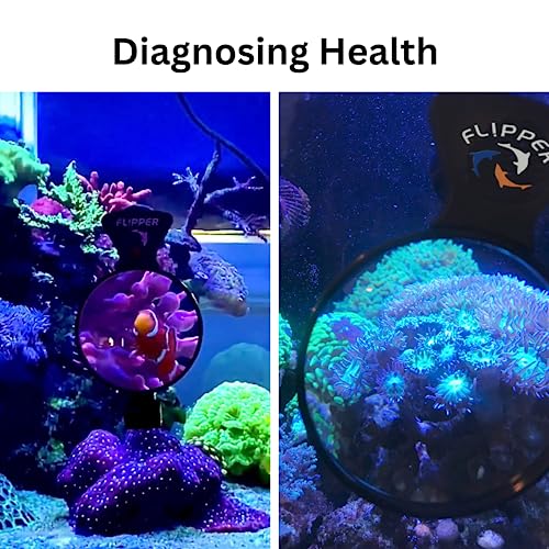 FL!PPER DeepSee Aquarium Magnifier Magnetic Viewer – Fish Tank Magnifying Glass – Magnetic Magnifying Glass Ideal for Photography – Flipper Fish Tank Accessories, 4"