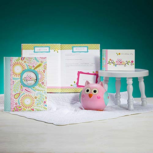 C.R. Gibson 'Sweet Baby' Pink Owl First Five Years Girl Memory Baby Book, 64pgs, 10'' W x 11.75'' H