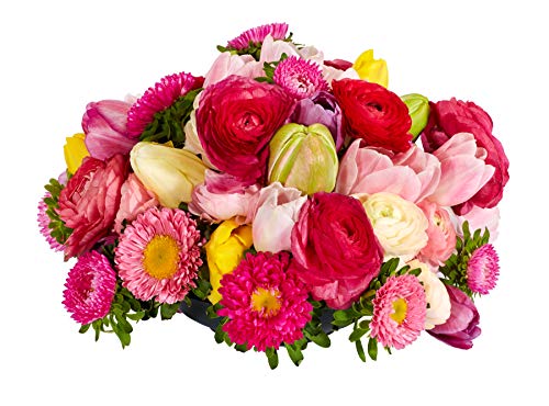 Floral Supply Online - Green Design Bowls for Flower Arrangements, Centerpieces, and Holiday Decorating. (6" Green, 12 Bowls)