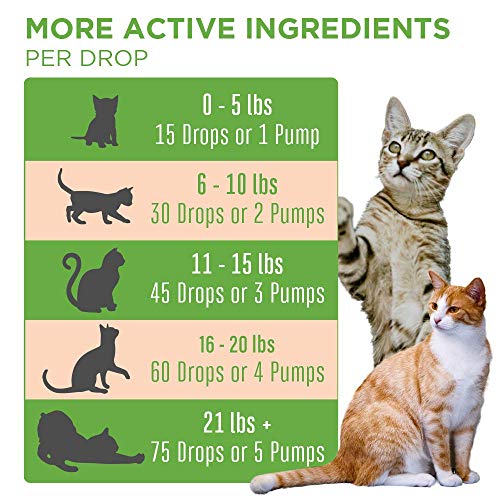 Cat Probiotic | USDA Organic Probiotic Cat | Probiotic for Cats | Cat Probiotic for Digestive Support | Supplement for Gut Health & Beneficial Bacteria | Vegan | Non-GMO | Gluten Free | 4 Fl Oz