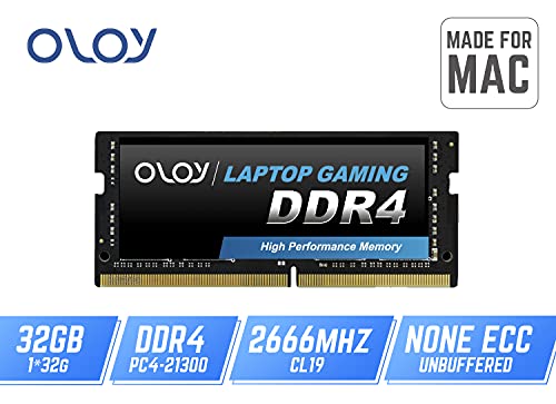 OLOy DDR4 RAM 32GB (1x32GB) 2400 MHz CL17 1.2V 260-Pin Laptop SODIMM Upgrade for 2017 iMac 27-inch with Retina 5K Display (MD4S322417MZSC)