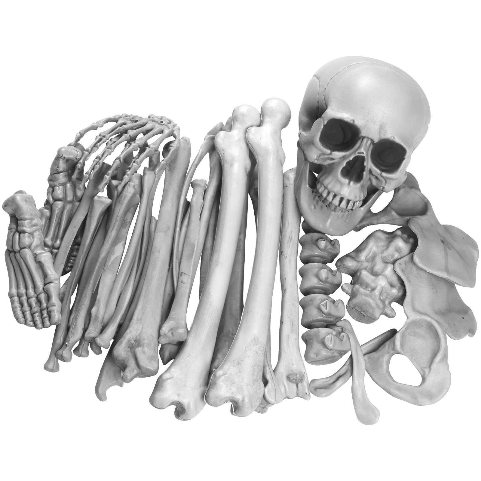 35 Pieces Skeleton Bones for Halloween Decoration - Plastic Bones Scary Props Decoration for Life Size Skull Bones Decor for Halloween Graveyard Scene Haunted Houses Outdoor Indoor